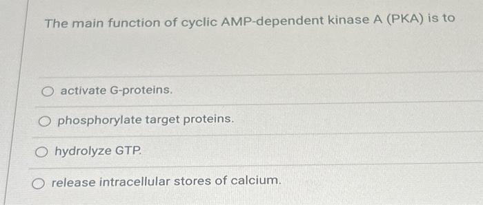 Solved The main function of cyclic AMP-dependent kinase A | Chegg.com