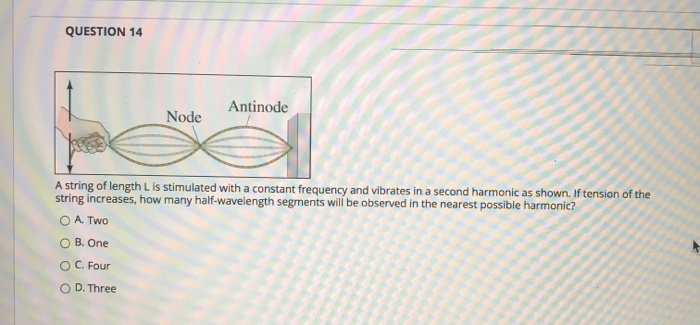 Solved QUESTION 14 Antinode Node A string of length L is | Chegg.com