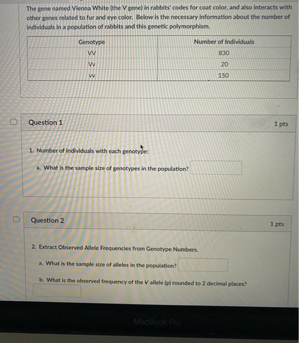 Solved The gene named Vienna White (the V gene) in rabbits' | Chegg.com