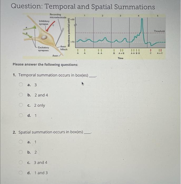 Solved Question: Temporal and Spatial Summations Recording | Chegg.com