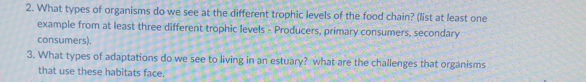 Solved 2. What types of organisms do we see at the different | Chegg.com