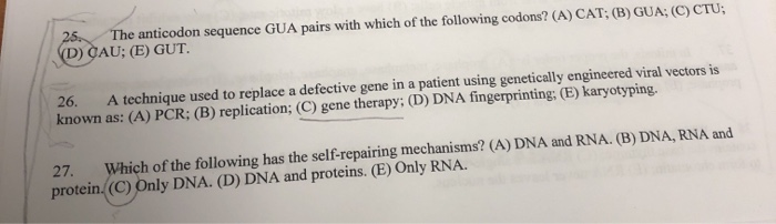 Solved 25. The anticodon sequence GUA pairs with which of | Chegg.com