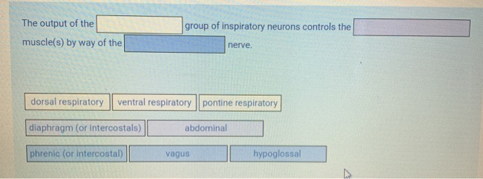 Solved Factor II (prothrombin) deficiency is the rarest | Chegg.com