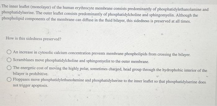 Solved The inner leaflet (monolayer) of the human | Chegg.com