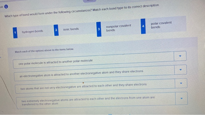 Solved Classify each of the following phrases as | Chegg.com