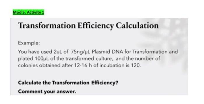 Solved Mod 5. Activity 1 Transformation Efficiency | Chegg.com
