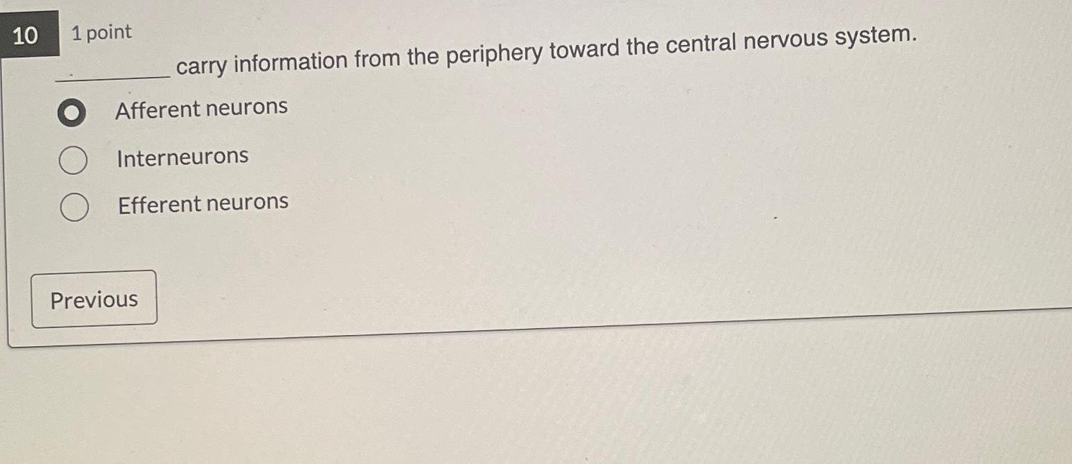 Solved 101 ﻿pointcarry information from the periphery toward | Chegg.com