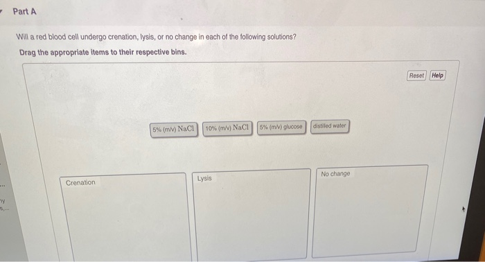 Solved Part A Will a red blood cell undergo crenation, | Chegg.com