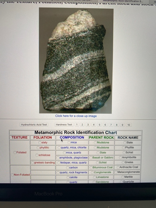 Solved Metamorphic Rock Identification S. CALUIGI VAULU | Chegg.com