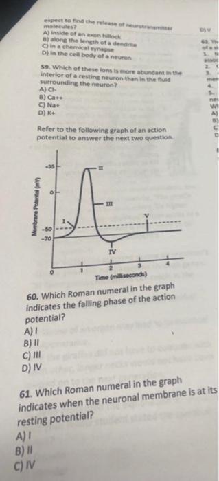 Solved expect to find the release of neurotransmiter | Chegg.com