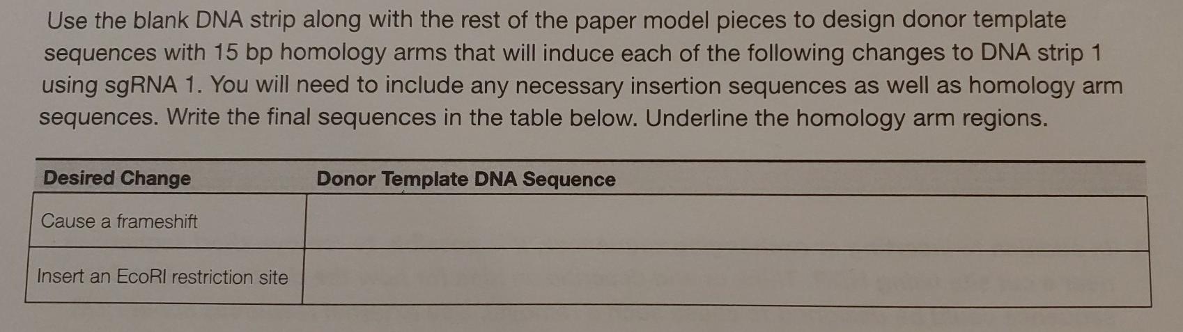Use the blank DNA strip along with the rest of the | Chegg.com