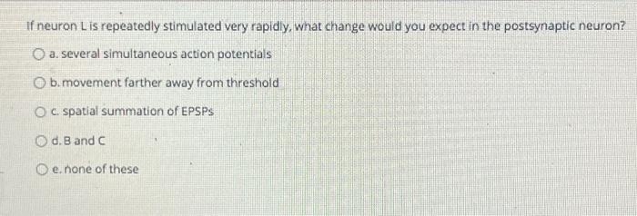 Solved If neuron L is repeatedly stimulated very rapidly, | Chegg.com
