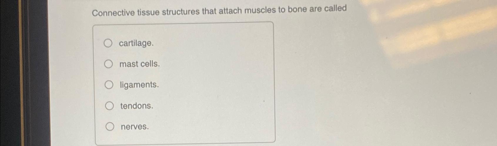 Solved Connective tissue structures that attach muscles to | Chegg.com