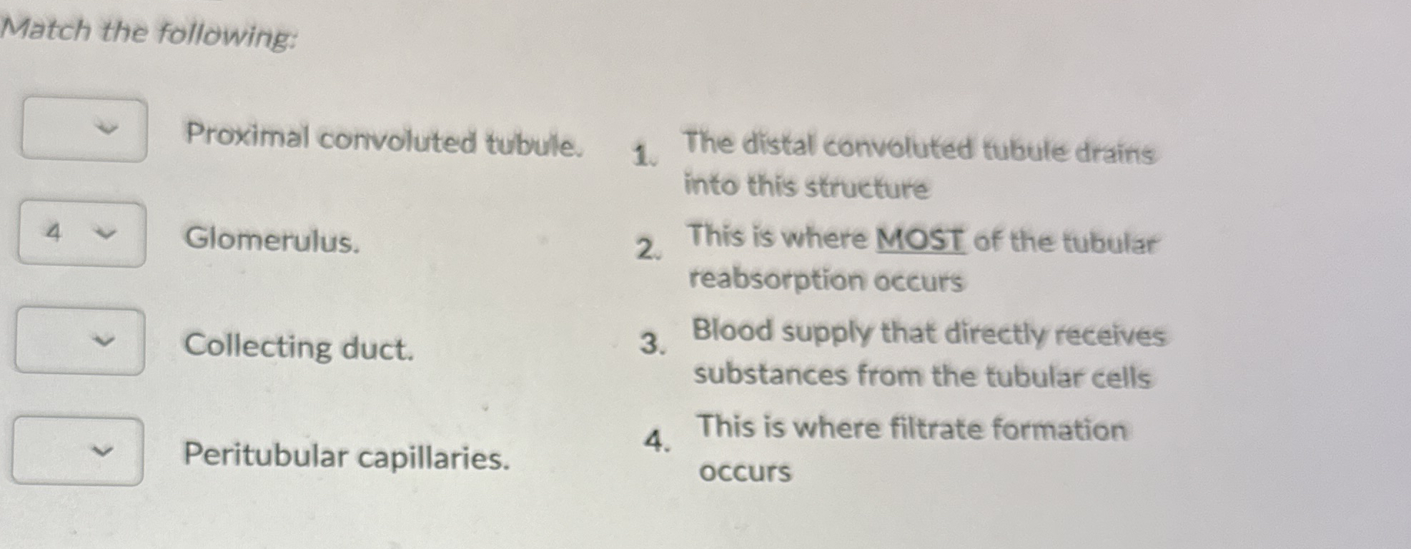 Solved Match the following.Proximal convoluted tubule.The | Chegg.com