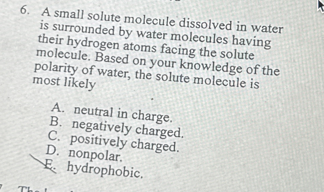 A small solute molecule dissolved in water is | Chegg.com