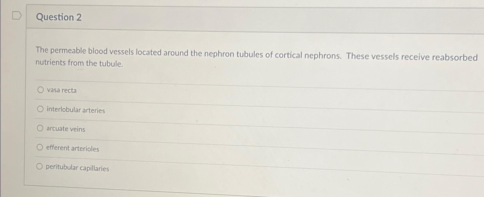 Solved Question 2The permeable blood vessels located around | Chegg.com