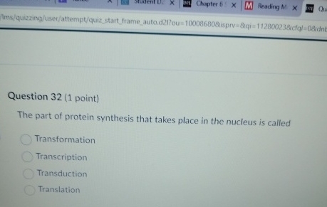 Solved Question 32 (1 ﻿point)The part of protein synthesis | Chegg.com