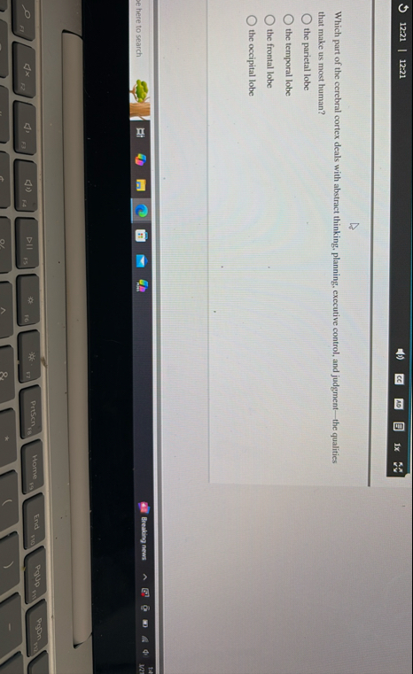 Solved 12:2112:21Which part of the cerebral cortex deals | Chegg.com