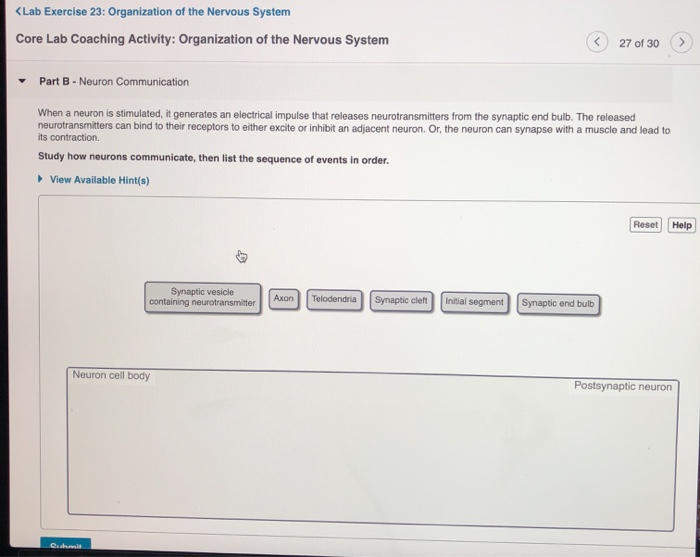 Solved Part B - Neuron Communication When a neuron is | Chegg.com