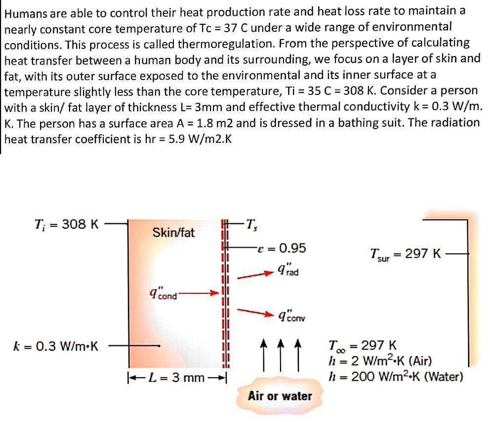 Solved Humans are able to control their heat production rate | Chegg.com