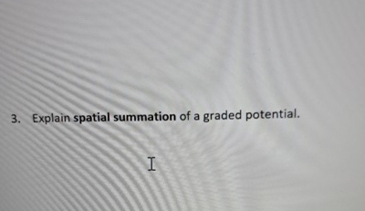 Solved Explain spatial summation of a graded potential. | Chegg.com