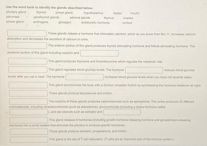 Solved Use the word bank to identify the glands described | Chegg.com