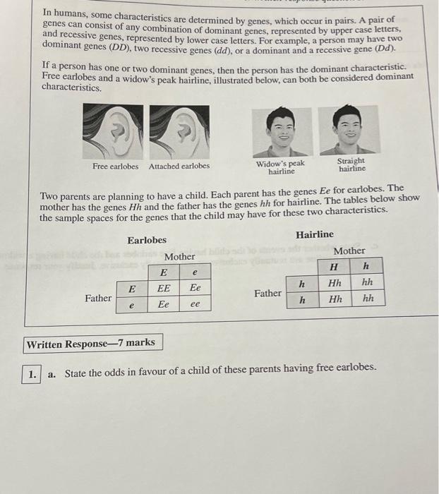 Solved In humans, some characteristics are determined by | Chegg.com