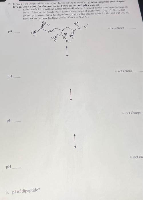 Solved 2. Draw all of the possible ionization forms of the | Chegg.com