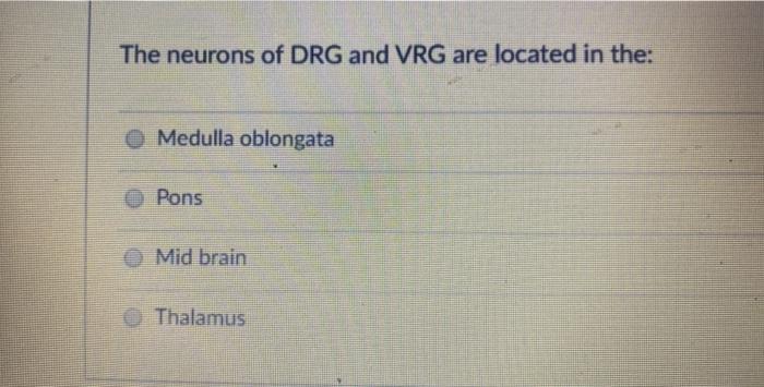 Solved The neurons of DRG and VRG are located in the: O | Chegg.com