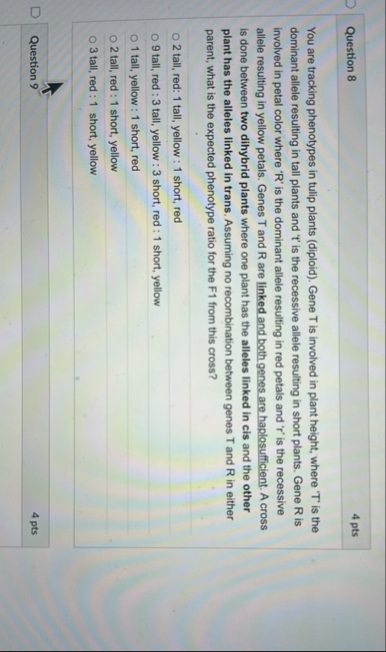 Solved Question 84 ﻿ptsYou are tracking phenotypes in tulip | Chegg.com