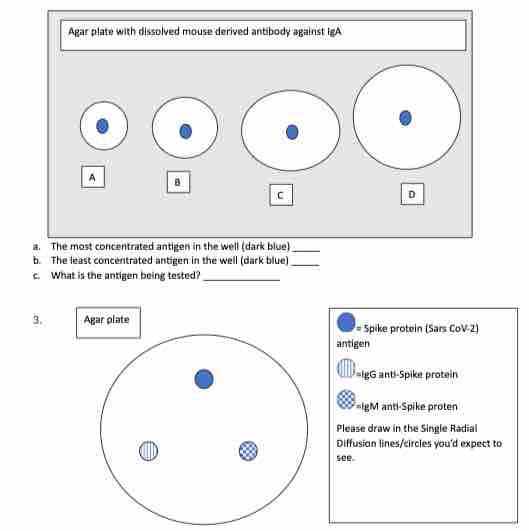 Solved Assignment #6Single Radial Diffusion is a quanitative | Chegg.com