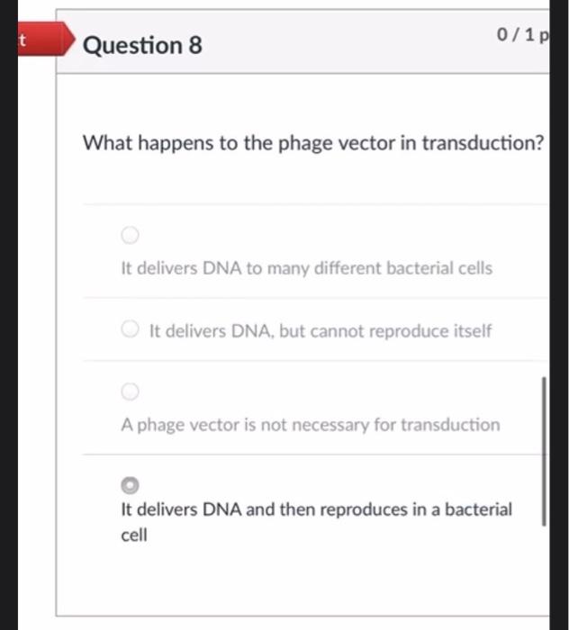 Solved t 0/1 p Question 8 What happens to the phage vector | Chegg.com