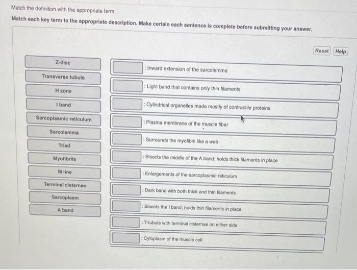 Solved Match the definition with the appropriate term. Match | Chegg.com