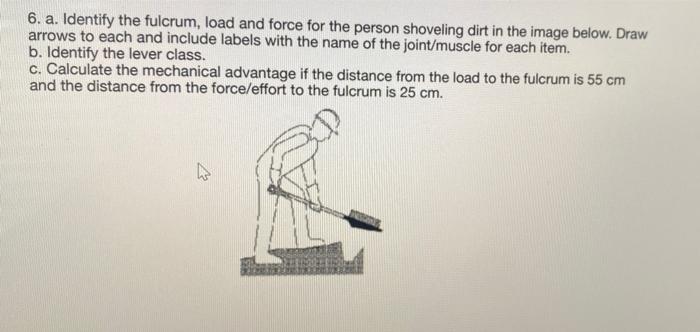 Solved 6. a. Identify the fulcrum, load and force for the | Chegg.com