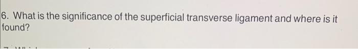 Solved What is the significance of the superficial | Chegg.com