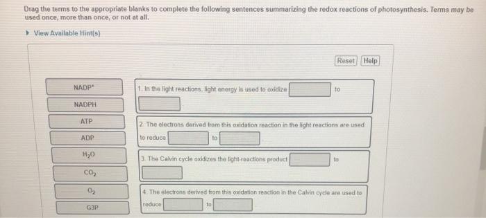Solved From the following choices, identify those that are | Chegg.com