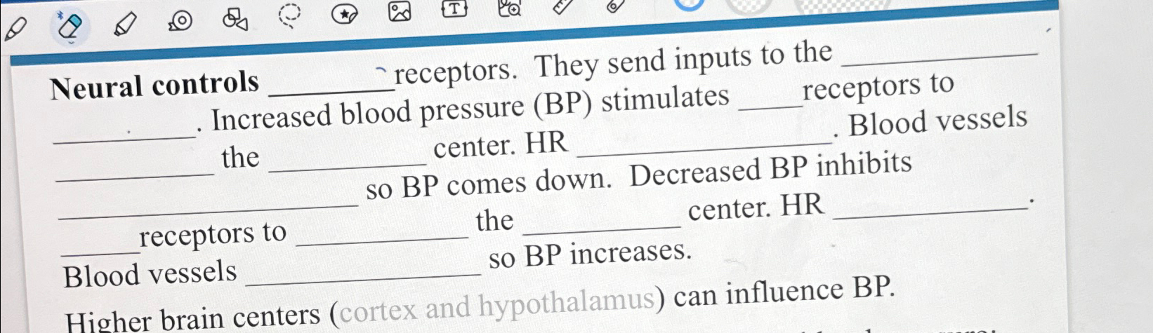 Solved Neural controls , ﻿receptors. They send inputs to the | Chegg.com