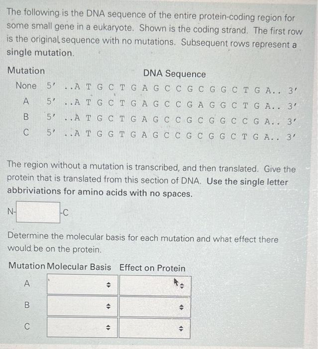 The following is the DNA sequence of the entire | Chegg.com