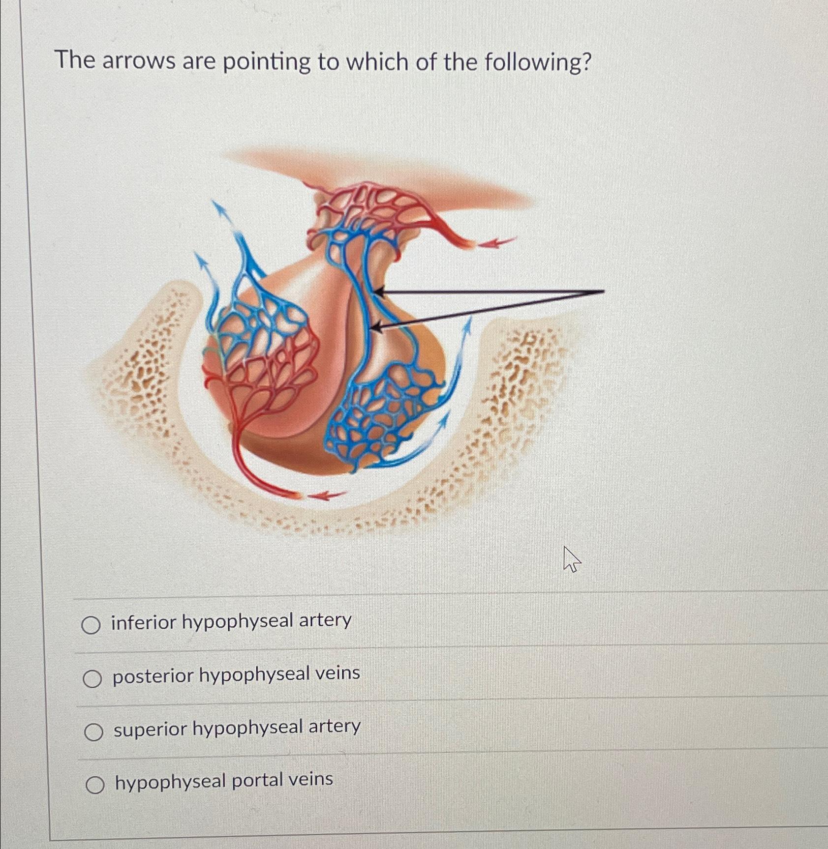 Solved The arrows are pointing to which of the | Chegg.com