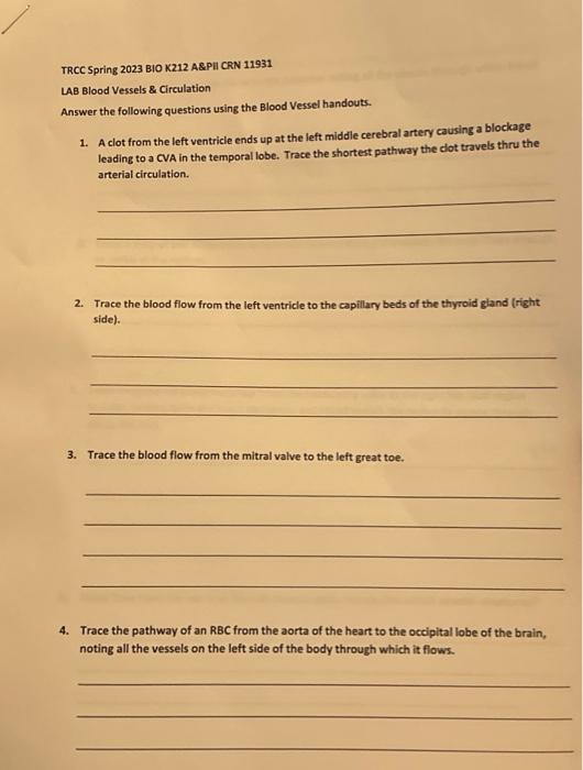 Solved 5. Trace blood flow from the aorta to the pancreas | Chegg.com