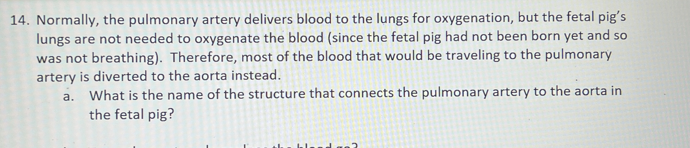 Solved Normally, the pulmonary artery delivers blood to the | Chegg.com