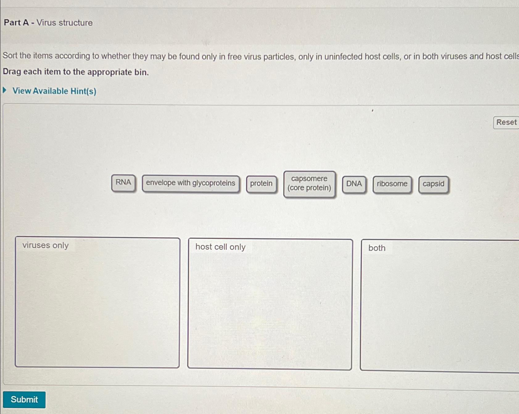 Solved Part A - ﻿Virus structureSort the items according to | Chegg.com