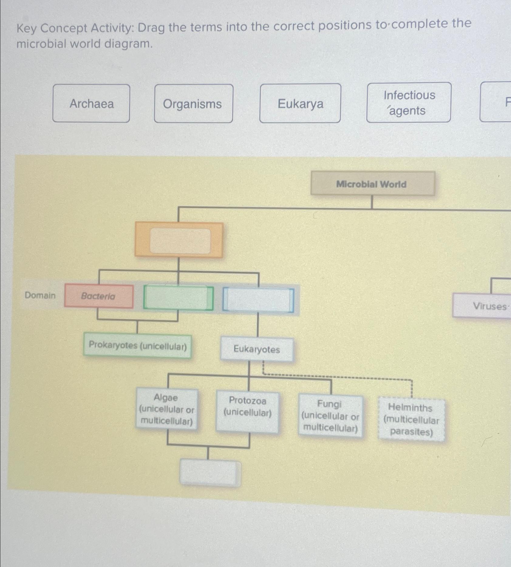Solved Key Concept Activity: Drag the terms into the correct | Chegg.com