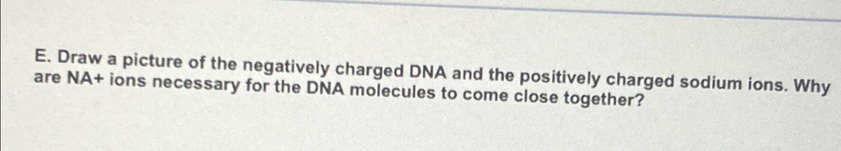 Solved E. ﻿Draw a picture of the negatively charged DNA and | Chegg.com