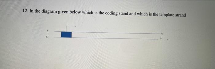 Solved 12. In the diagram given below which is the coding | Chegg.com