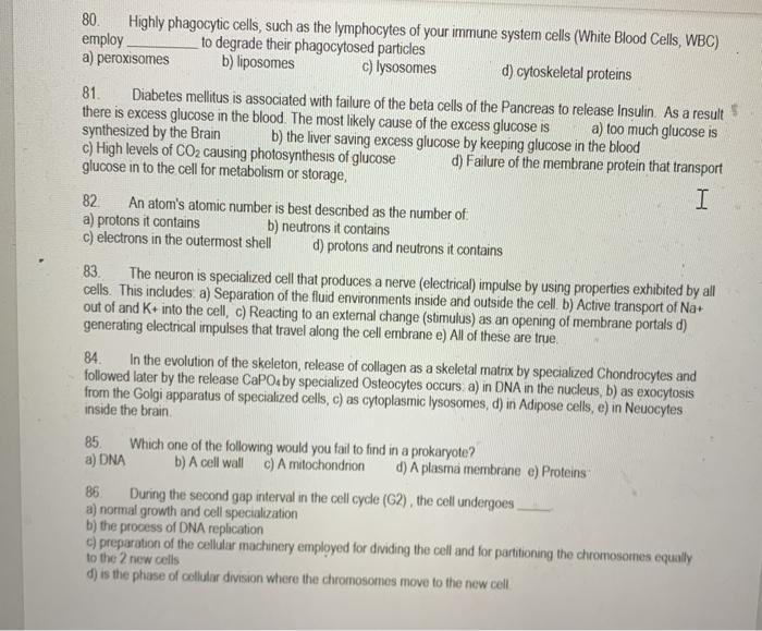 Solved 80 Highly phagocytic cells, such as the lymphocytes | Chegg.com