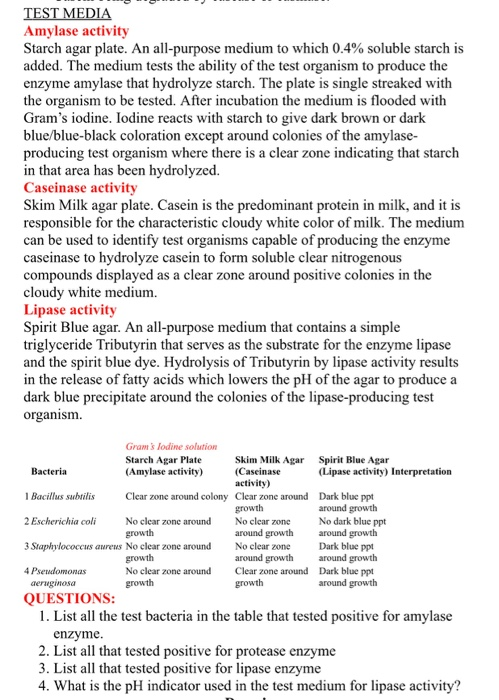 Solved TEST MEDIA Amylase activity Starch agar plate. An | Chegg.com