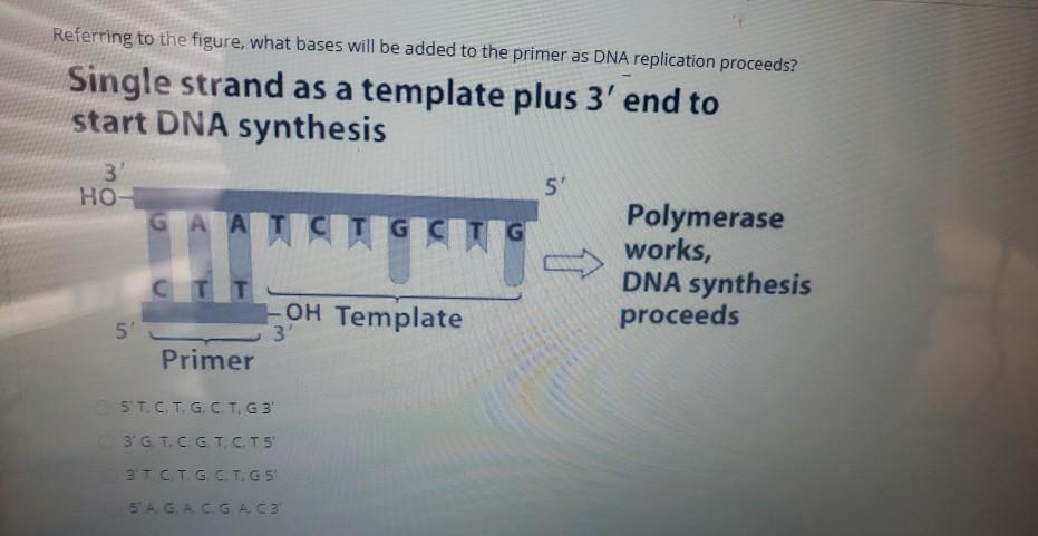 Solved During the replication of DNA, both DNA strands act | Chegg.com