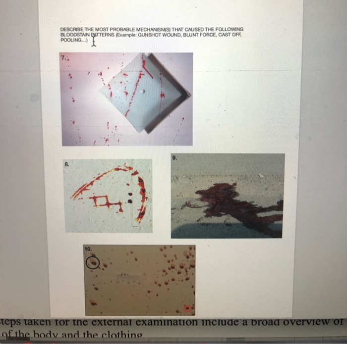 Solved DESCRIBE THE MOST PROBABLE MECHANISMS) THAT CAUSED | Chegg.com