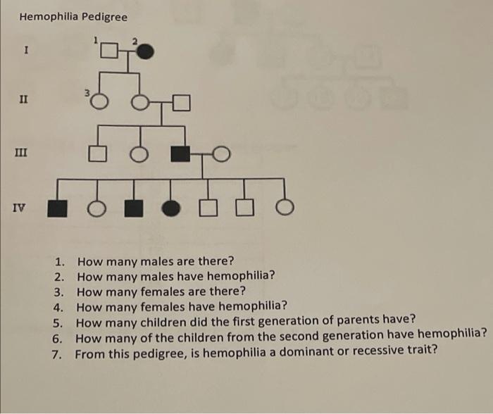 Solved Hemophilia Pedigree 1 II III IV 1. How many males are | Chegg.com